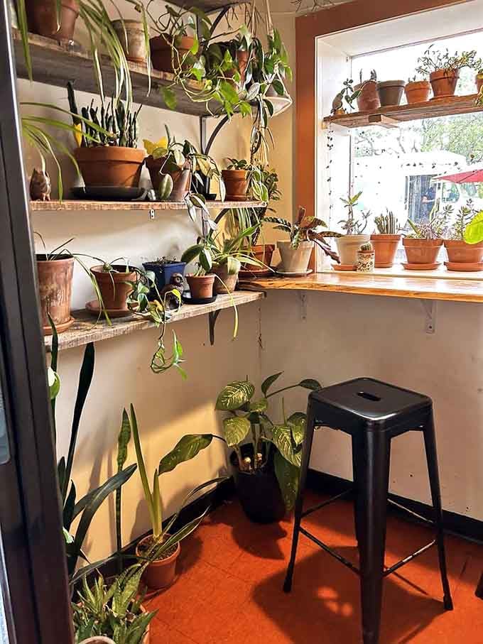 The plant corner adds life and oxygen to your dining experience&mdash;because if you're eating plants, why not be surrounded?