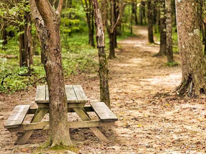 This peaceful picnic spot along the trail is perfect for lunch or just contemplating why you don't do this more often.