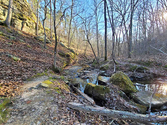 Autumn transforms the landscape into an artist's palette, with colors so vivid they almost seem digitally enhanced.