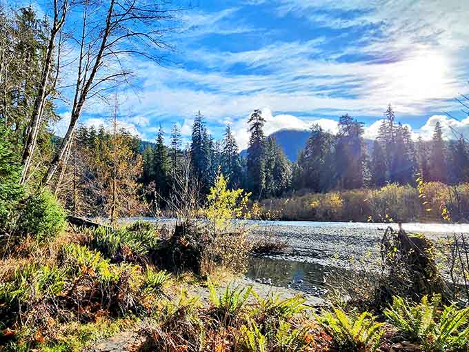 When the Hoh River catches the light just right, it looks like liquid gemstones flowing through the wilderness.