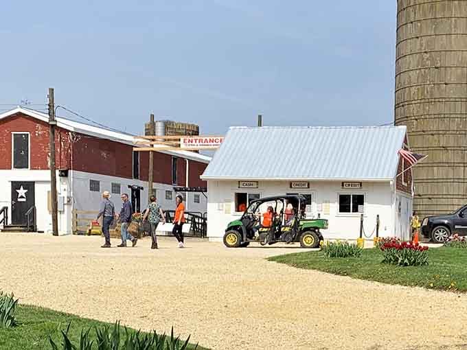 The farm's entrance building keeps things charmingly simple, because when you've got millions of flowers outside, who needs fancy architecture inside?