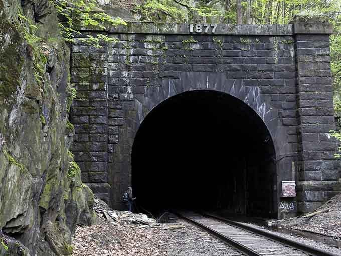 The archway's weathered appearance adds character that no modern construction could replicate, even if they tried really hard.
