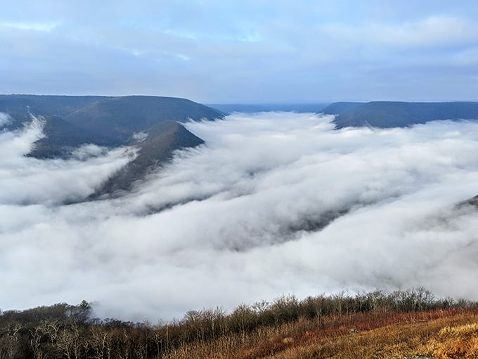 Fog fills the valley like nature's own special effect, turning ordinary mountains into mysterious floating islands.