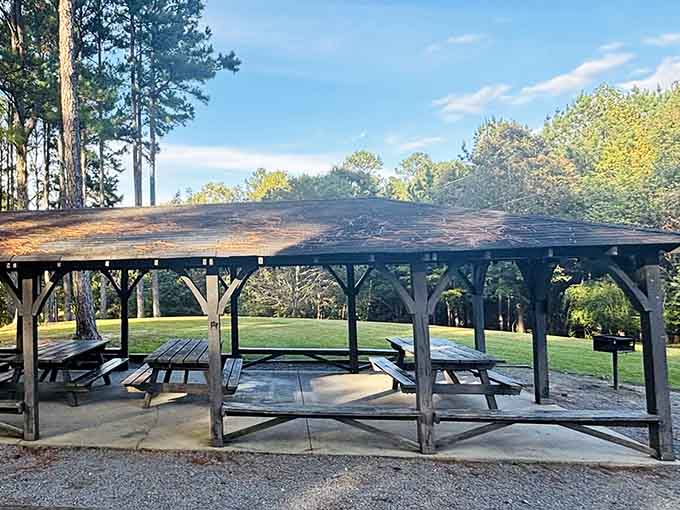 This covered pavilion hosts family reunions, birthday parties, and the occasional existential conversation about life's meaning.