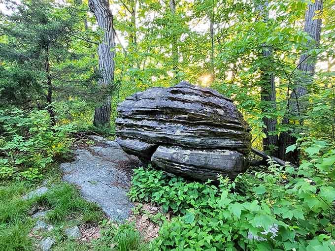 This gravity-defying boulder has been sitting here longer than anyone's been complaining about their commute, remarkably balanced.