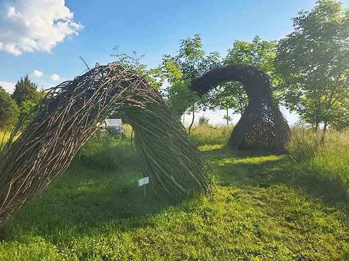 Twisted metal branches form natural archways that frame the Kentucky sky better than any picture window could.
