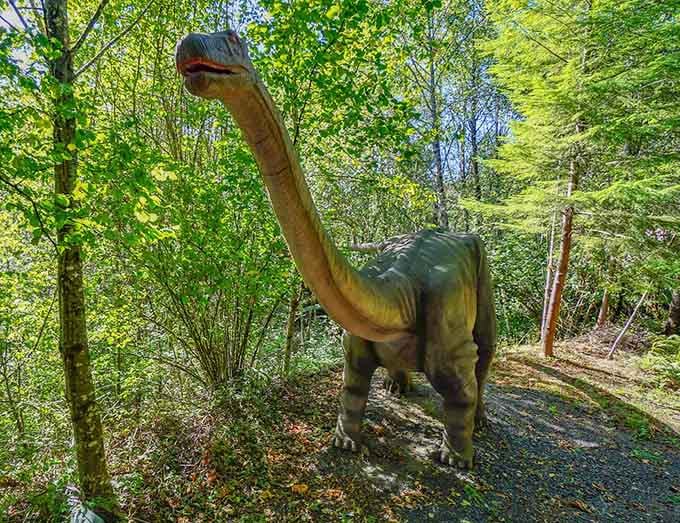 A gentle brachiosaurus grazing among the evergreens reminds you that not all dinosaurs were terrifying carnivores, thankfully.