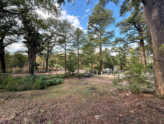 Sprawling grounds dotted with ancient trees offer endless exploration opportunities, because wandering aimlessly is underrated these days.