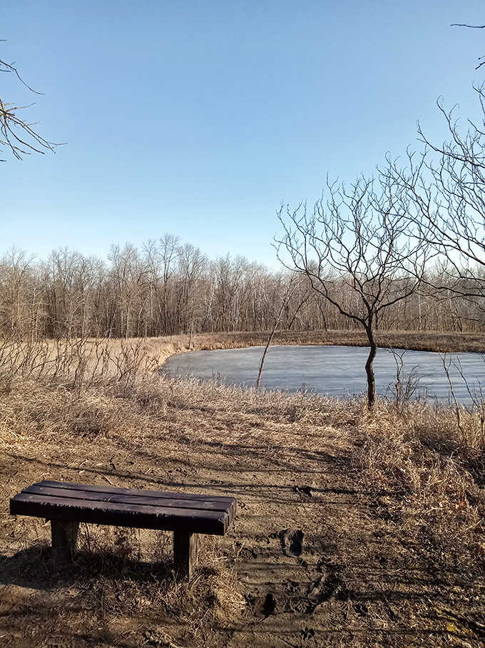 Benches positioned for contemplation, or napping, or pretending to contemplate while actually napping&mdash;your choice, no judgment here at all.