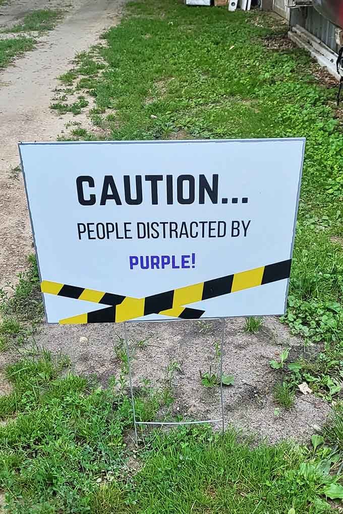 Fair warning: the purple distraction here is real, powerful, and completely impossible to resist or ignore.
