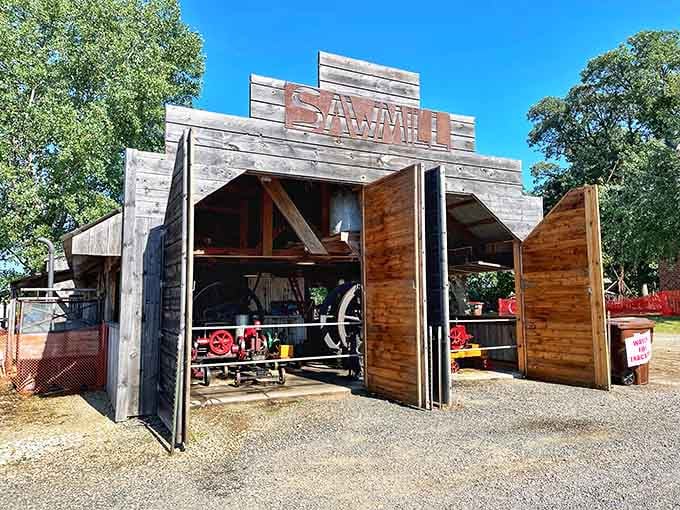 This working sawmill demonstrates how pioneers turned raw timber into homes using nothing but muscle, determination, and probably some colorful language.