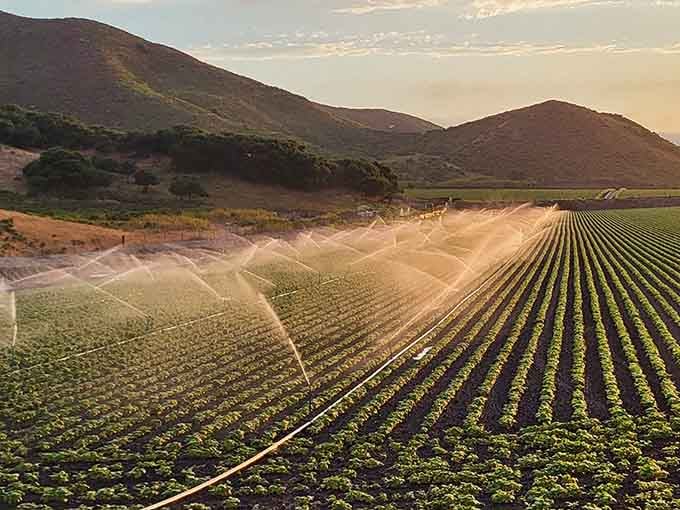 Sunset irrigation creates rainbows over the crops, adding magic to an already spectacular scene.