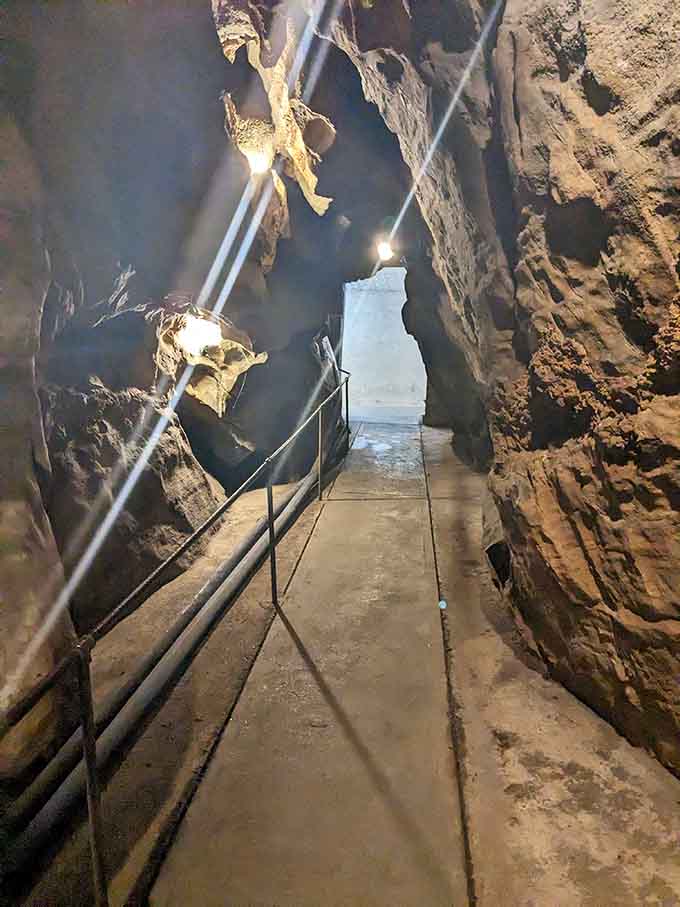 Well-lit pathways with sturdy railings make exploring these ancient chambers accessible for adventurers of all ages.