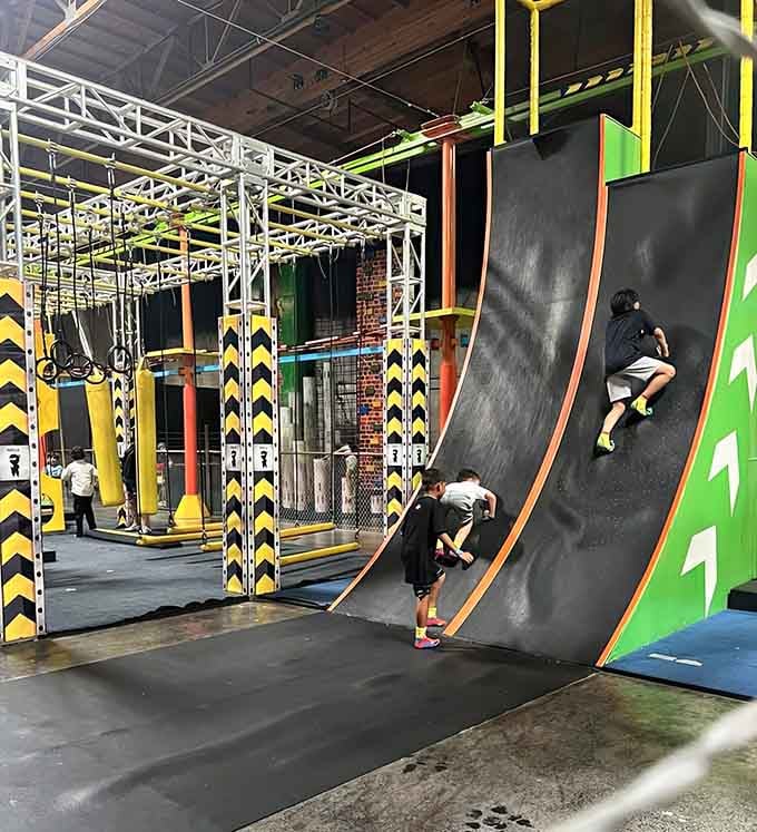 Kids scale those angled climbing walls with determination, channeling their inner Spider-Man one grip at a time successfully.