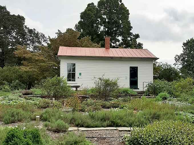 The Pest House Medical Museum occupies a tiny building with big stories about Lynchburg's healthcare history.