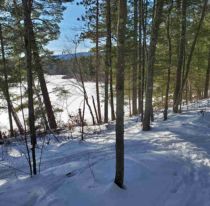Winter transforms the landscape into a snow globe you can actually walk through, peaceful and pristine beyond description.