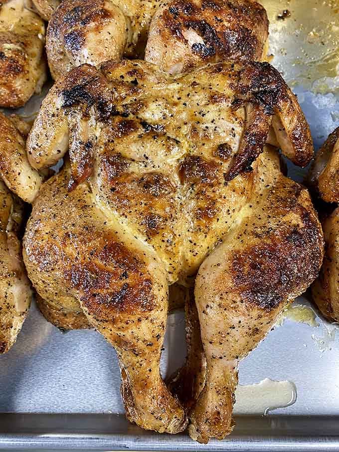 Golden, crispy-skinned barbecue chicken glistening in its own juices is the kind of sight that makes vegetarians question their life choices, if only for a moment.