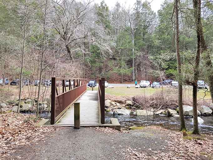 A simple footbridge leading to adventures, because sometimes the journey really is the whole point here.