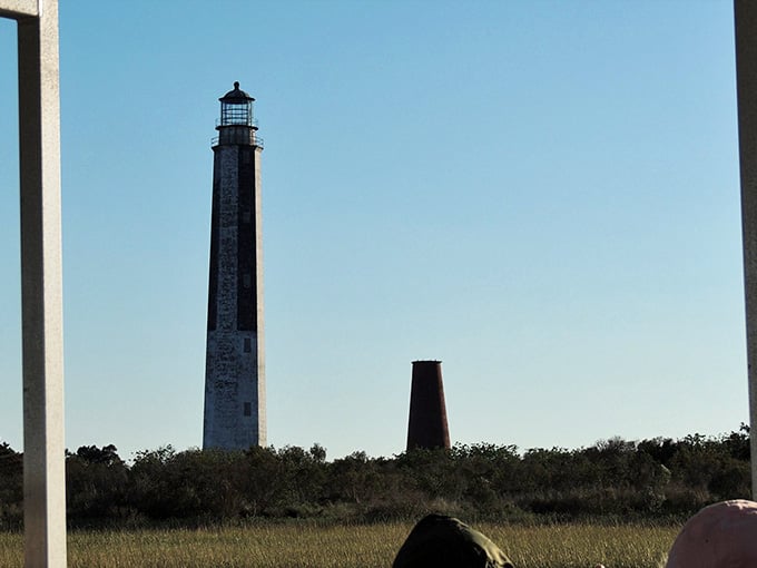The Cape Romain Lighthouses stand sentinel over the coast, guiding ships since before GPS made everything too easy.