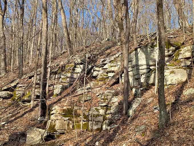 Moss-covered bluffs rising from the forest floor like something straight out of a fantasy novel, minus the dragons and wizards.