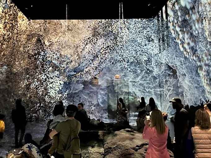 Visitors become part of the art itself, reflected and multiplied in this immersive digital landscape.