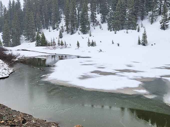 Winter transforms the landscape into a frozen wonderland where even the creek seems unsure about its liquid state.