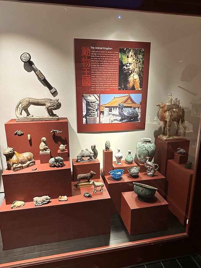 Chinese artifacts fill this display with treasures that span dynasties, showcasing craftsmanship that puts modern mass production to shame.