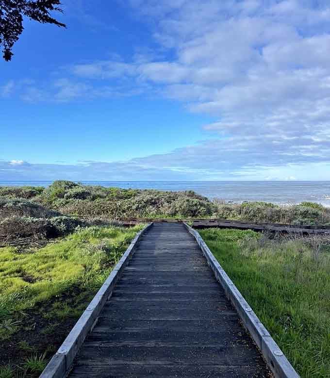 The path winds through nature like it was always meant to be here, peaceful and perfectly placed.