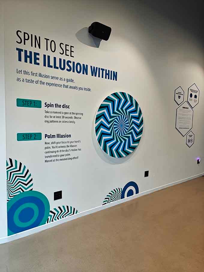 Spin the disc, watch the patterns dance, and question whether you accidentally took something before entering the museum.