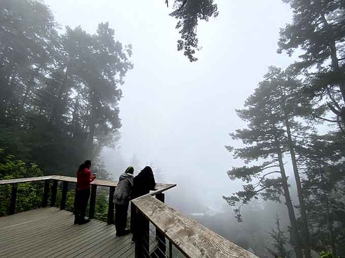 Fog adds mystery to the viewpoint, turning your coastal hike into something resembling a moody film noir.
