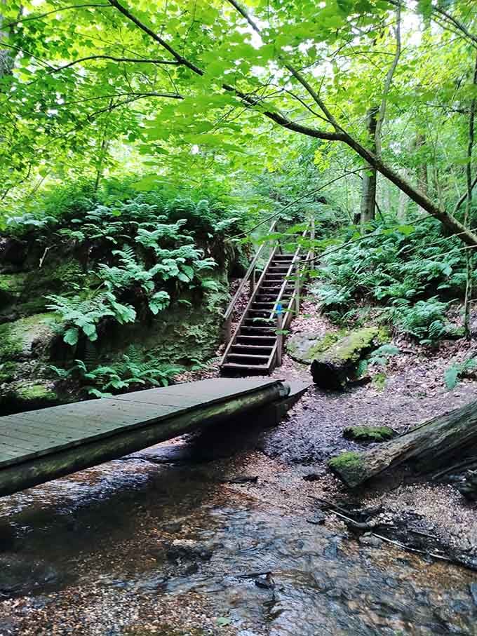 Wooden steps lead adventurers deeper into this geological wonderland, one careful footfall at a time.