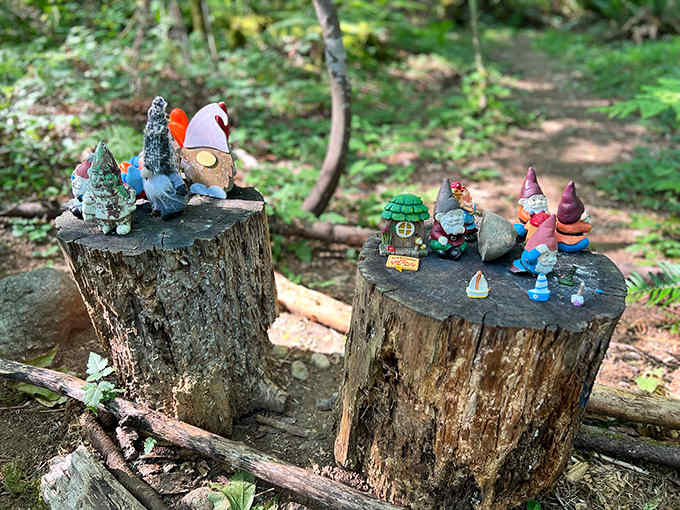 Tree stumps transform into gnome gathering spots where important community decisions are made, probably about hat styles and beard maintenance.