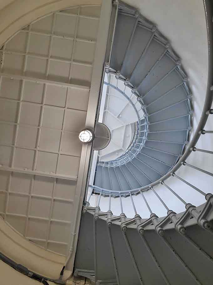 That spiral staircase looks like something from a Hitchcock film, minus the suspense and terror.