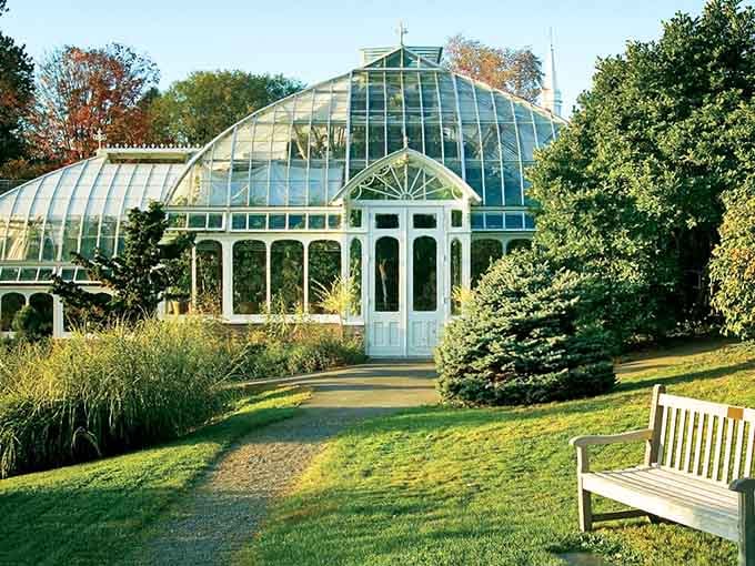 Victorian greenhouses shelter botanical collections that prove nature's architecture surpasses anything humans dream up in CAD programs.