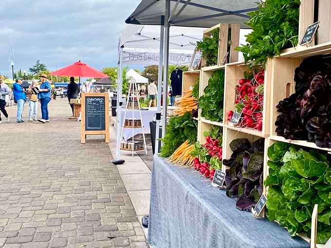 The morning market brings farm-fresh produce that actually tastes like food should taste, remember that?
