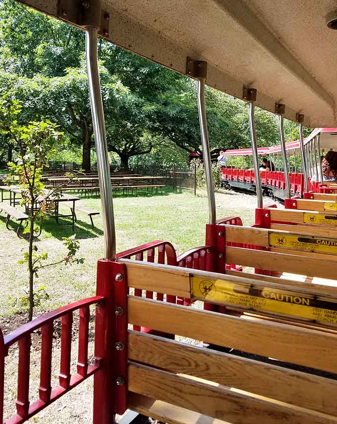 All aboard for a gentle journey through the park, where wooden benches and shaded tracks promise old-fashioned fun.