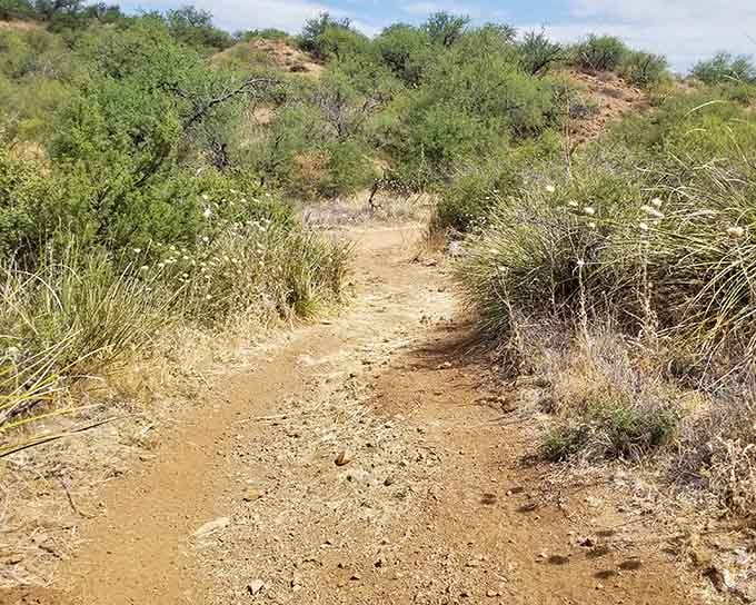 These trails wind through terrain so peaceful, you'll forget what traffic jams and honking horns even sound like.