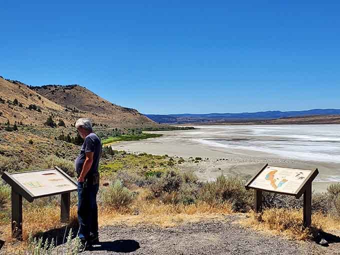 Lake Albert's shoreline stretches white and otherworldly, like someone spilled the moon across the Oregon desert floor.