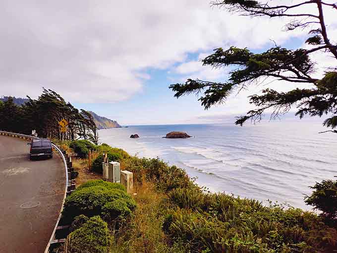 The scenic highway curves along cliffs where forest meets ocean, making every drive feel like a National Geographic special you're starring in.