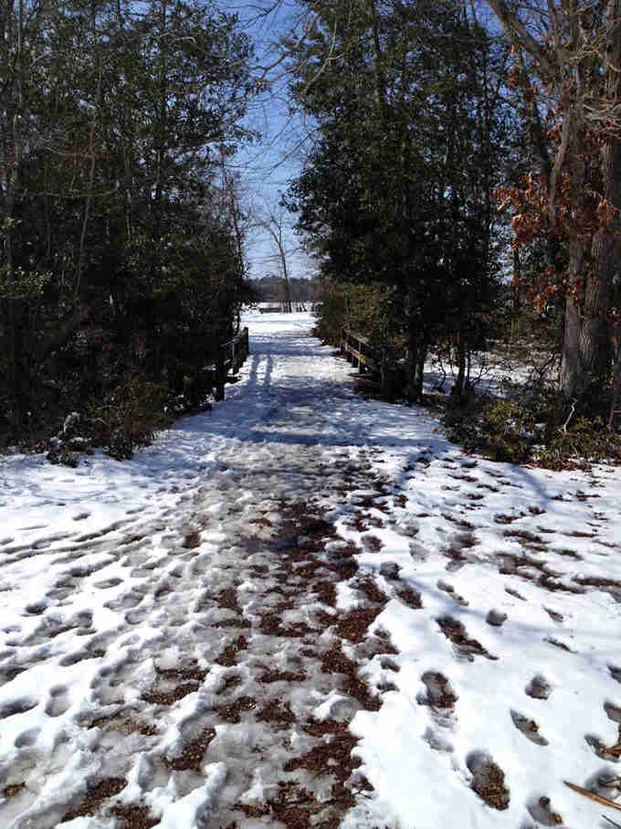 Winter transforms the trails into a peaceful wonderland that looks like a holiday card come to life.