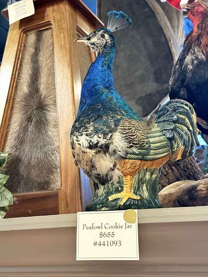 A taxidermied peacock cookie jar might be the most gloriously impractical kitchen accessory you'll ever covet.