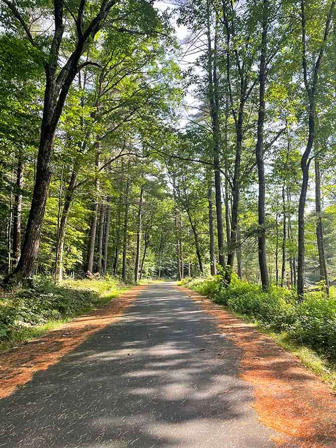Tree-lined paths that make you want to break into a Disney princess song, but please don't.