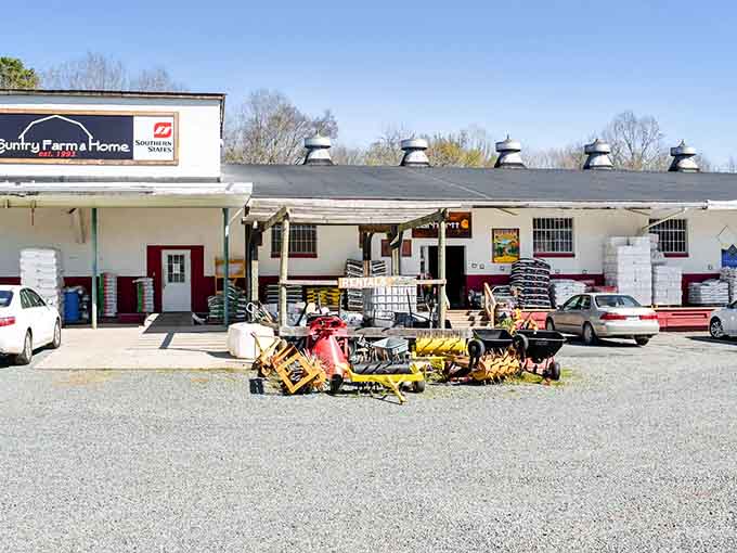 Country Farm & Home supplies practical goods alongside vintage finds, serving both your needs and your wants.