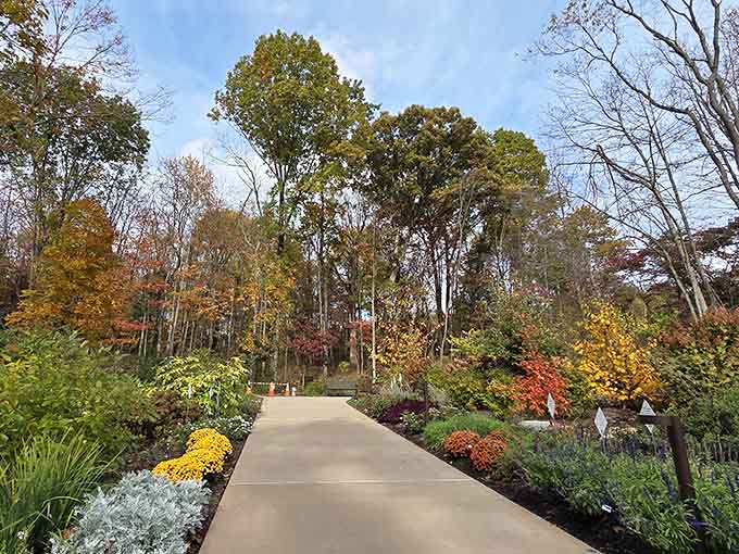 A peaceful pathway lined with autumn colors, practically begging you to take a leisurely stroll through paradise.