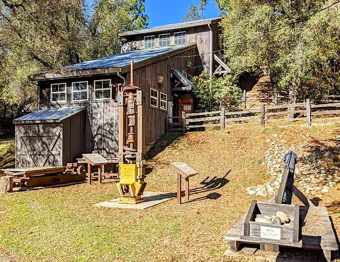 Gold Bug Park lets you explore actual mining history without risking your life or your retirement fund on a claim.