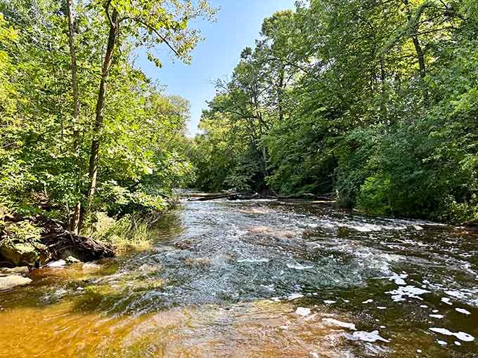Sauk Creek's gentle waters wind through wooded landscapes, offering nature lovers a peaceful retreat just minutes from downtown.