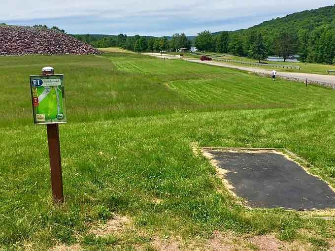 Disc golf with views like this beats any country club course, and the membership fee is absolutely free.
