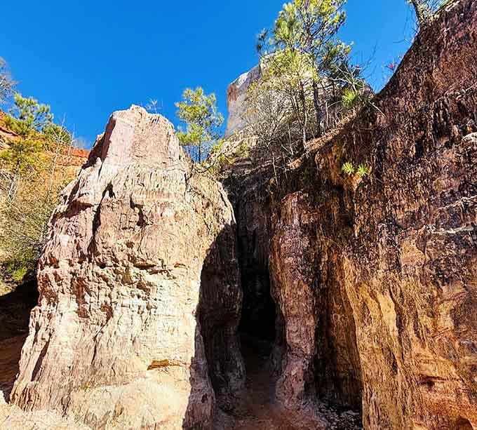 These dramatic rock formations create passages and corridors that feel like walking through a natural cathedral.