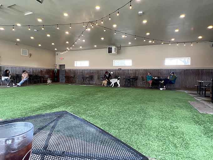 The indoor dog park features artificial turf and climate control, making playtime possible rain or shine.