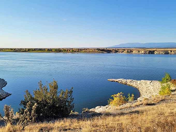 Lake Pueblo State Park sprawls across thousands of acres, all accessible without a second mortgage payment.